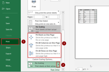 How to Make Excel Spreadsheet Bigger When Printing - Excel Insider