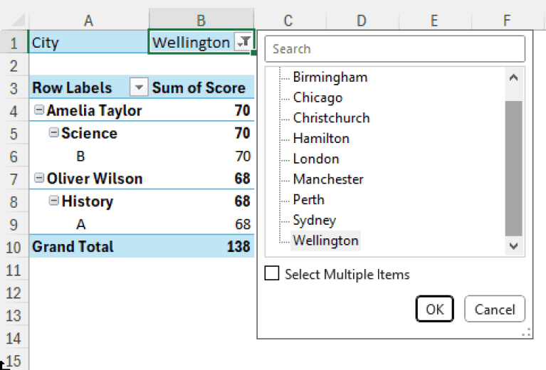 How To Filter A Pivot Table With A Custom List In Excel Excel Insider