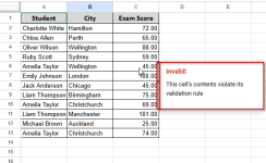 How to Use Custom Data Validation Formula in Google Sheets - Excel Insider