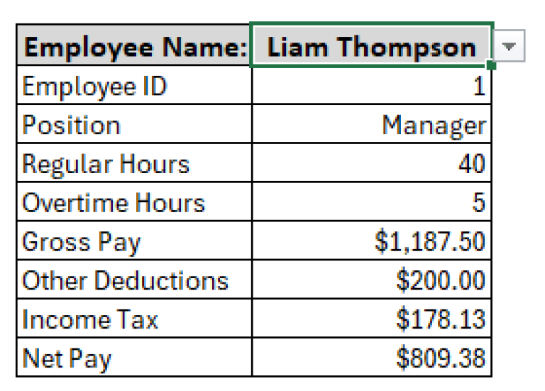 How to Make Payroll in Excel (2 Suitable Examples) - Excel Insider