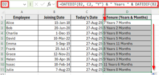 How to Calculate Tenure in Years and Months in Excel - Excel Insider