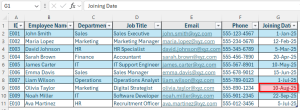 How to Create an Employee Database in Excel - Excel Insider