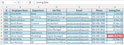How to Create an Employee Database in Excel - Excel Insider