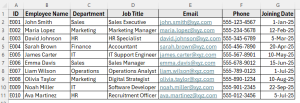 How to Create an Employee Database in Excel - Excel Insider