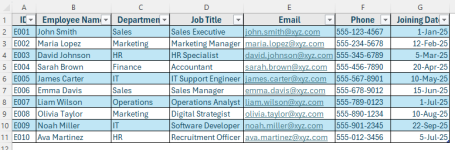 How to Create an Employee Database in Excel - Excel Insider