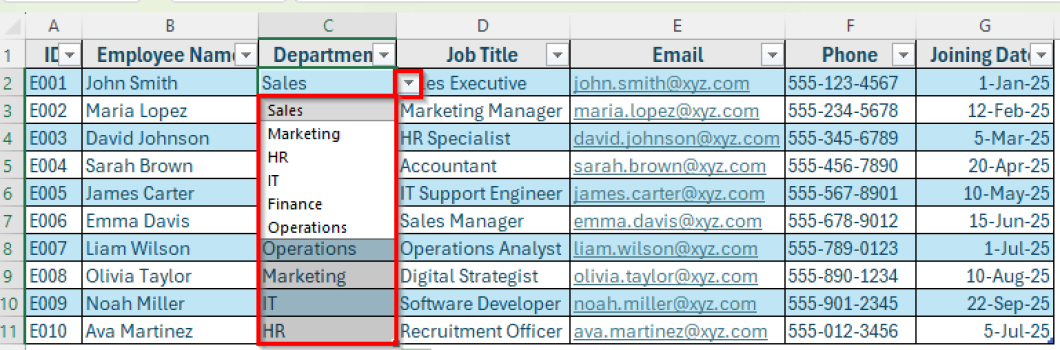 How to Create an Employee Database in Excel - Excel Insider