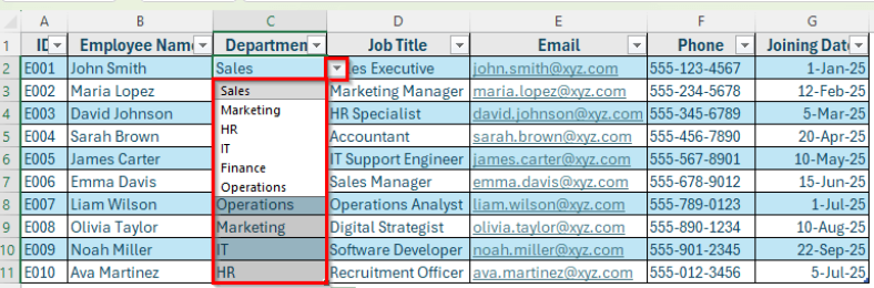 How to Create an Employee Database in Excel - Excel Insider
